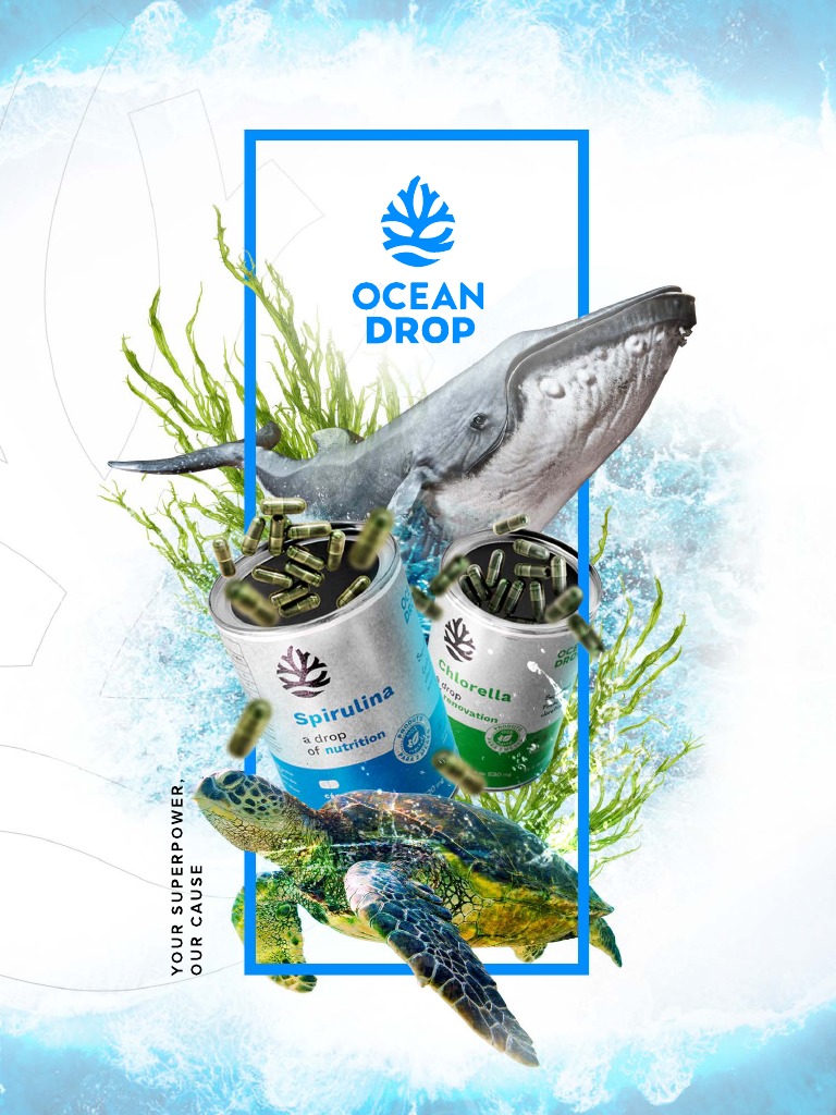 Catalogo Ocean Drop | PDF