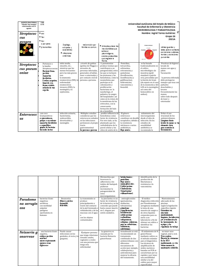 Actividad3 Cuadro Comparativo | PDF