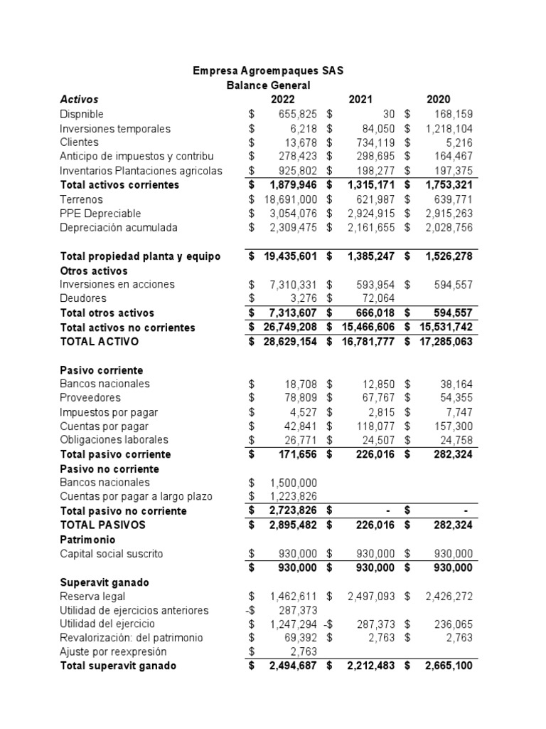 Anexos - Estados Financieros | PDF