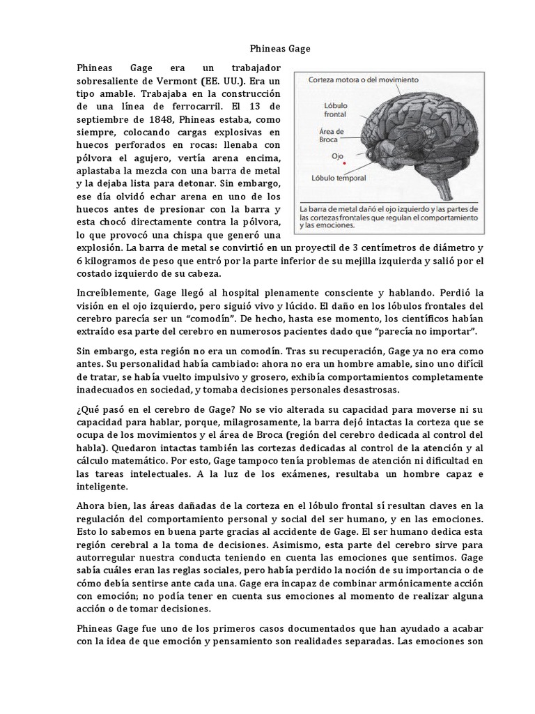Phineas Gage | PDF