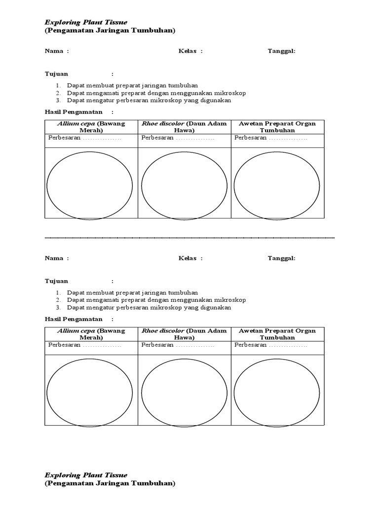 Pengamatan Jaringan Tumbuhan | PDF