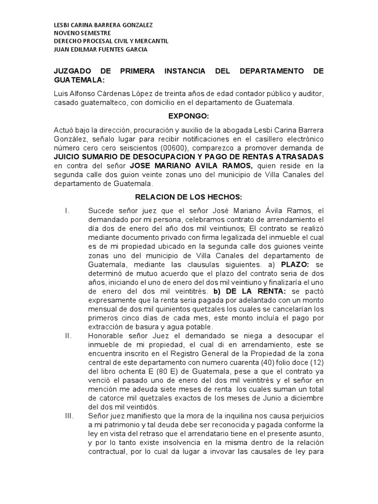 Demanda Sumaria | PDF