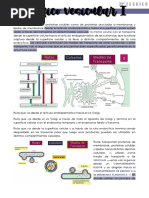 Tipos y Funciones del Transporte Vesicular | PDF | Biología de membrana ...