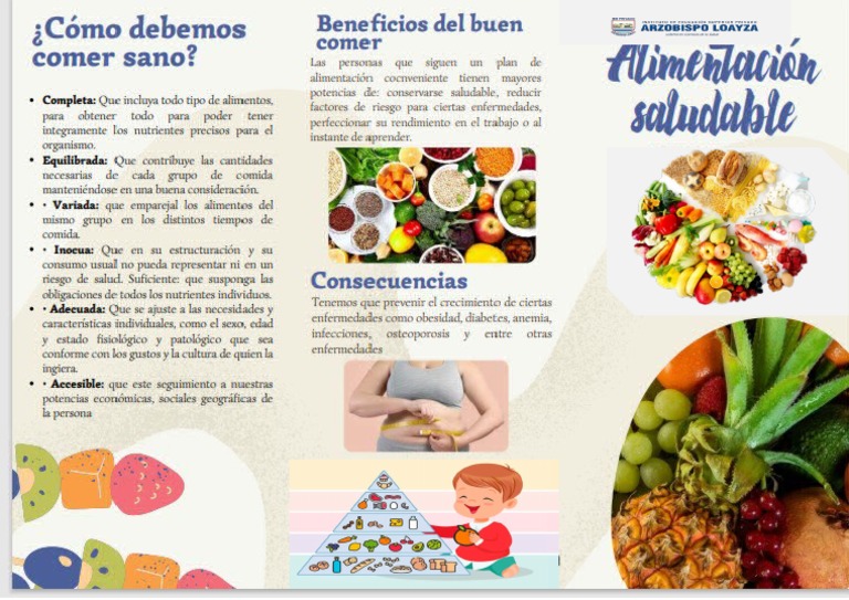 Alimentacion Saludable 2 Triptico | PDF