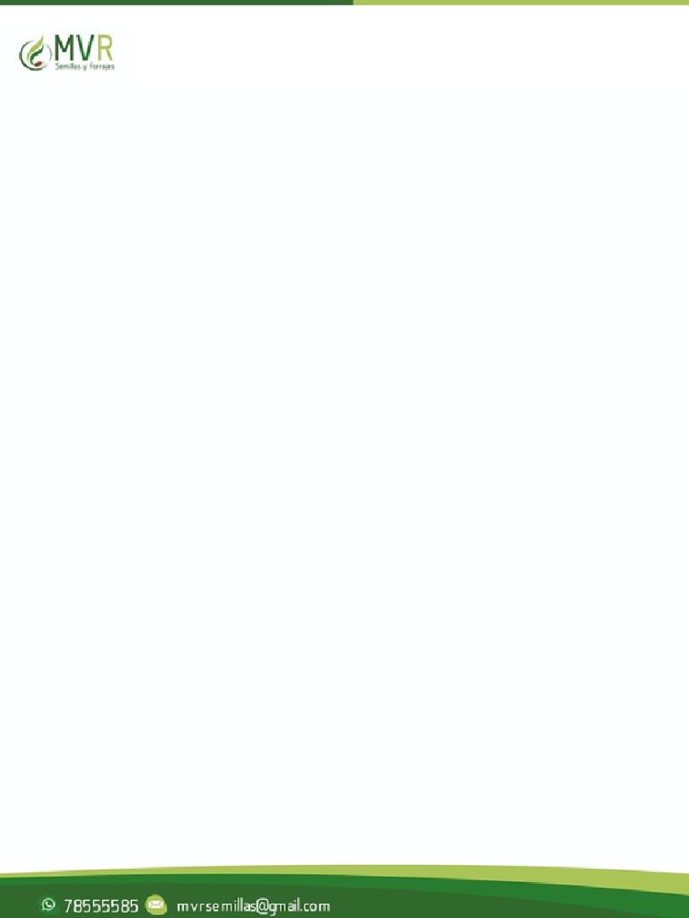 Membrete A4 21x29.7 CM | PDF