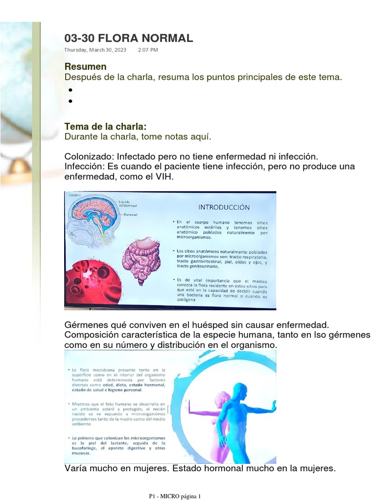 03-30 Flora Normal | PDF | Ciencia y matemáticas