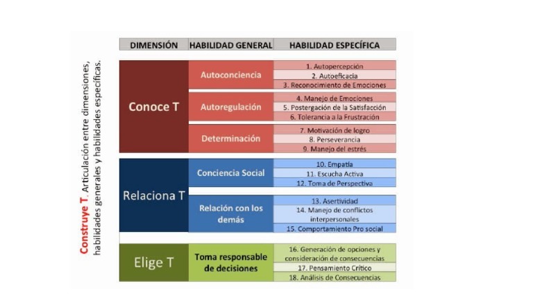 Construye T | PDF