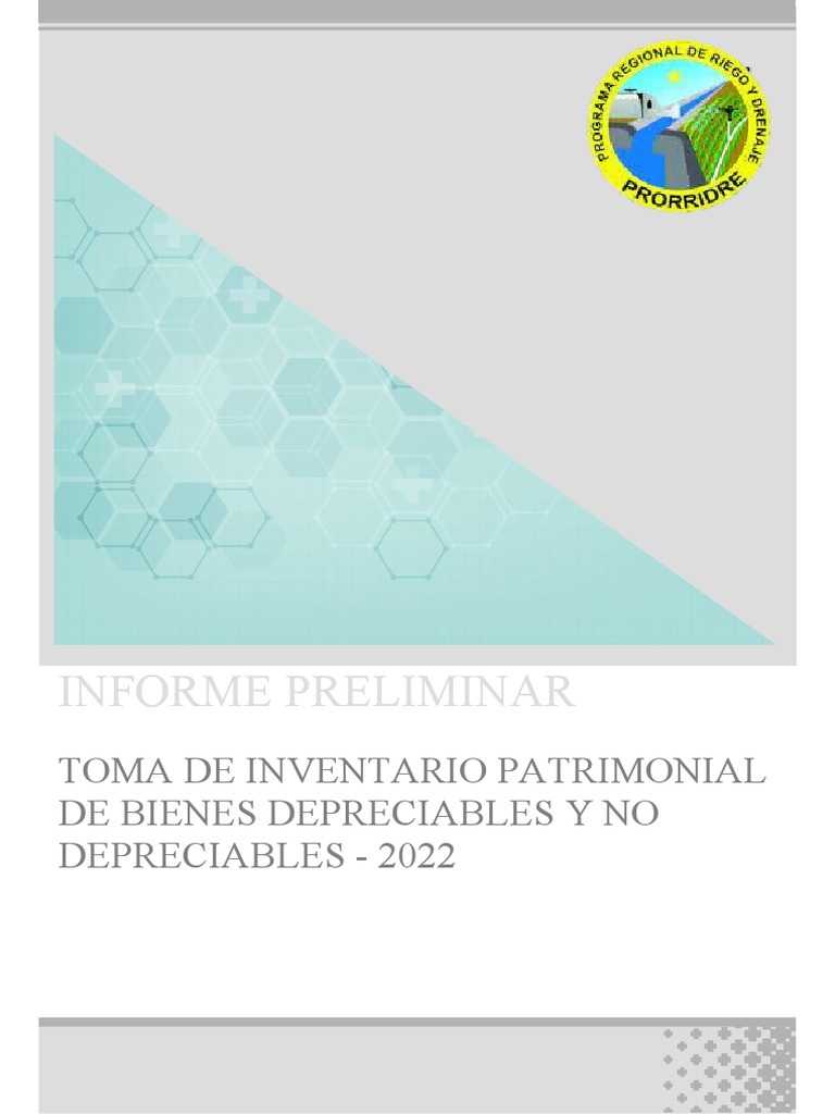 Informe Preliminar - 2 | Descargar gratis PDF | Contabilidad | Inventario