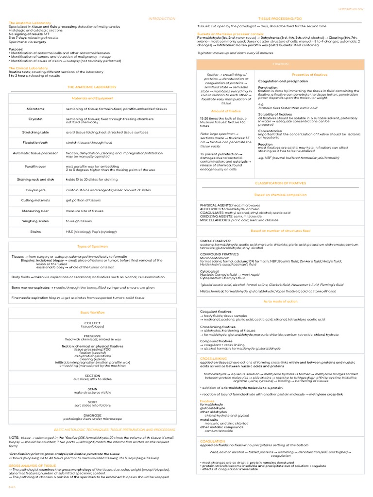 Notes On Histology | PDF | Fixation (Histology) | Histology