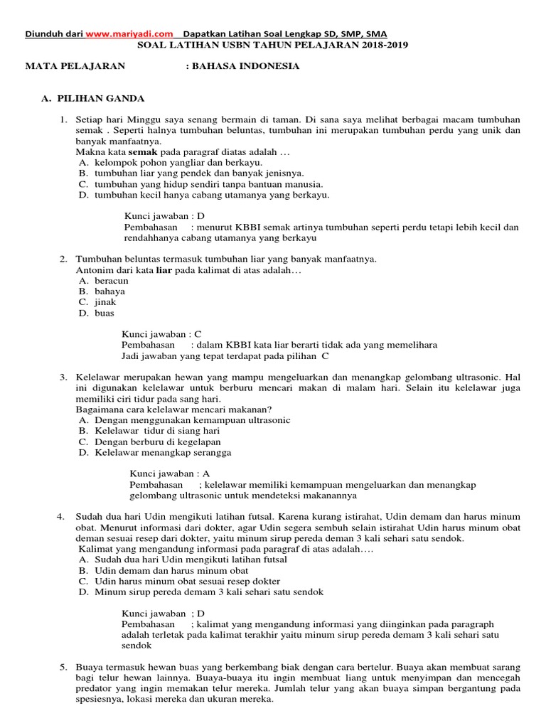 Bi Paket A Usbn | PDF