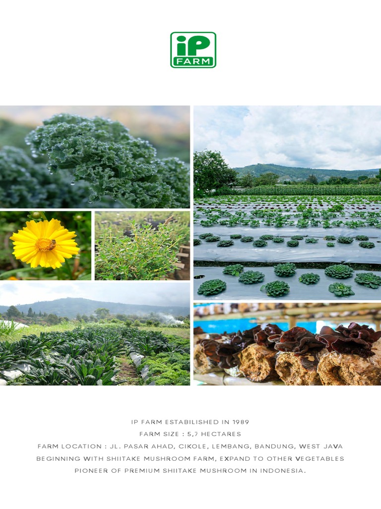 Ip Farm - Pricelist - 15 Mar | PDF