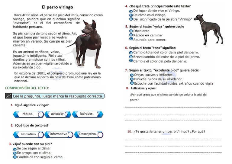 El Perro Viringo - Comprensión de Texto | PDF