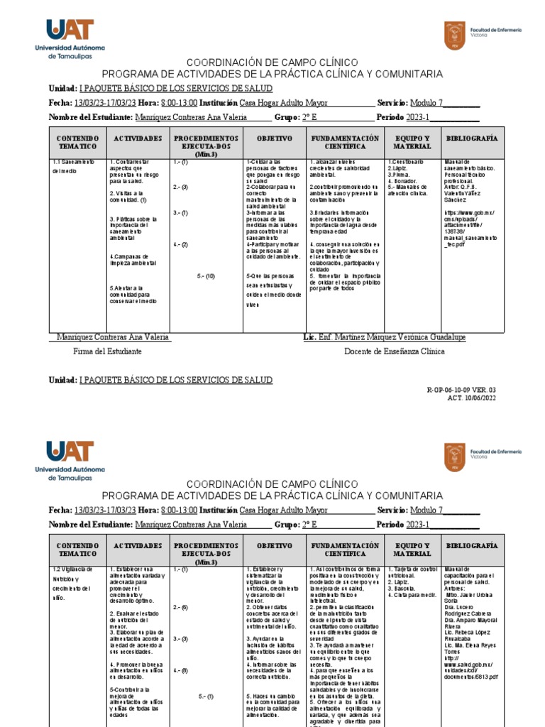 Programa de Actividades Practicas | PDF