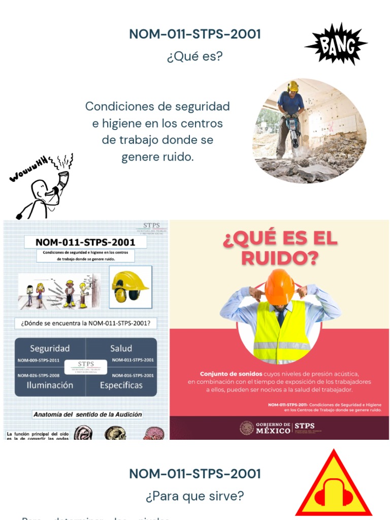 Nom 011 STPS 2001 | PDF