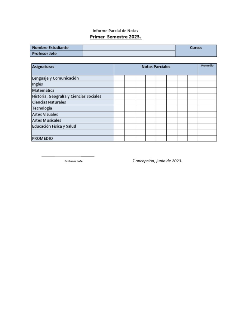 Formato de Informe Parcial de Notas | PDF