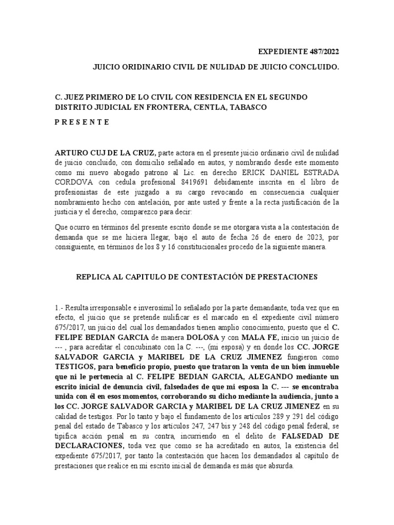 Expediente 487 1 Pdf