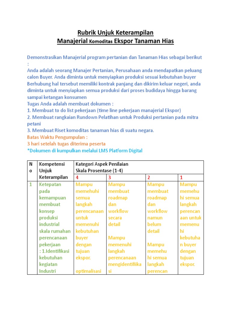Contoh Rubrik Unjuk Keterampilan | PDF