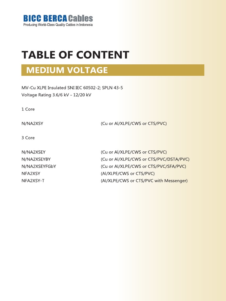 MV28 | PDF
