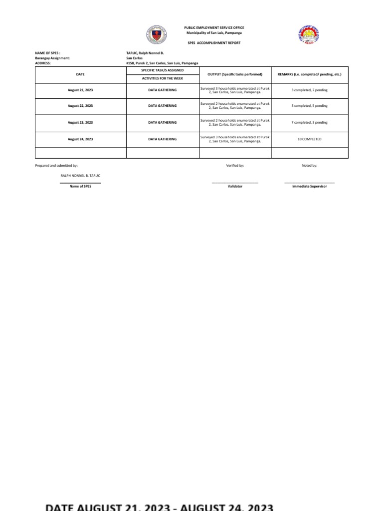 Accomplishment Report For SPES | PDF | Computing