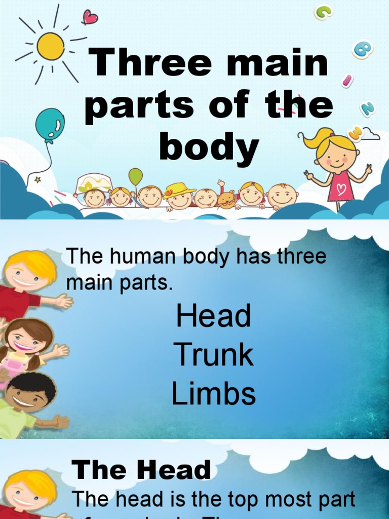 3 Main Parts of The Body | PDF