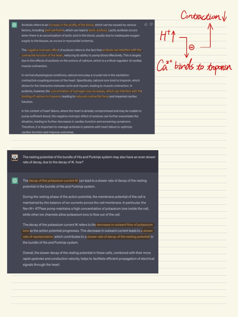 Cardiovascular System GPT Note | PDF