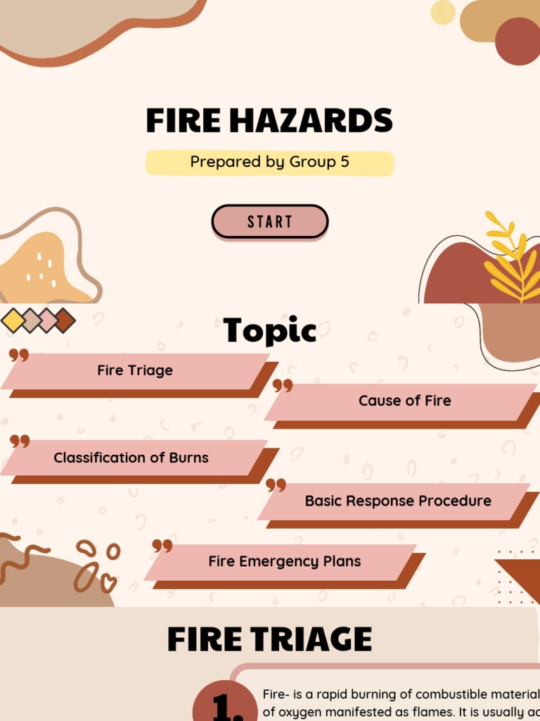 Fire Hazards | PDF | Fires | Combustion