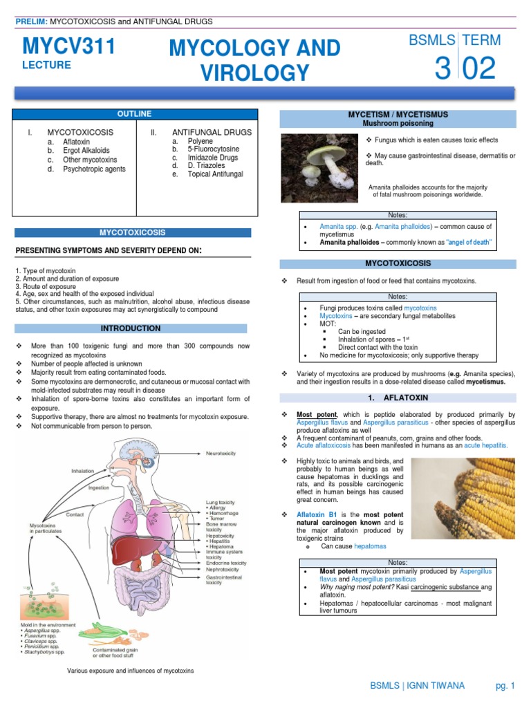 Mycology and Virology MYCV311: Bsmls Term | PDF