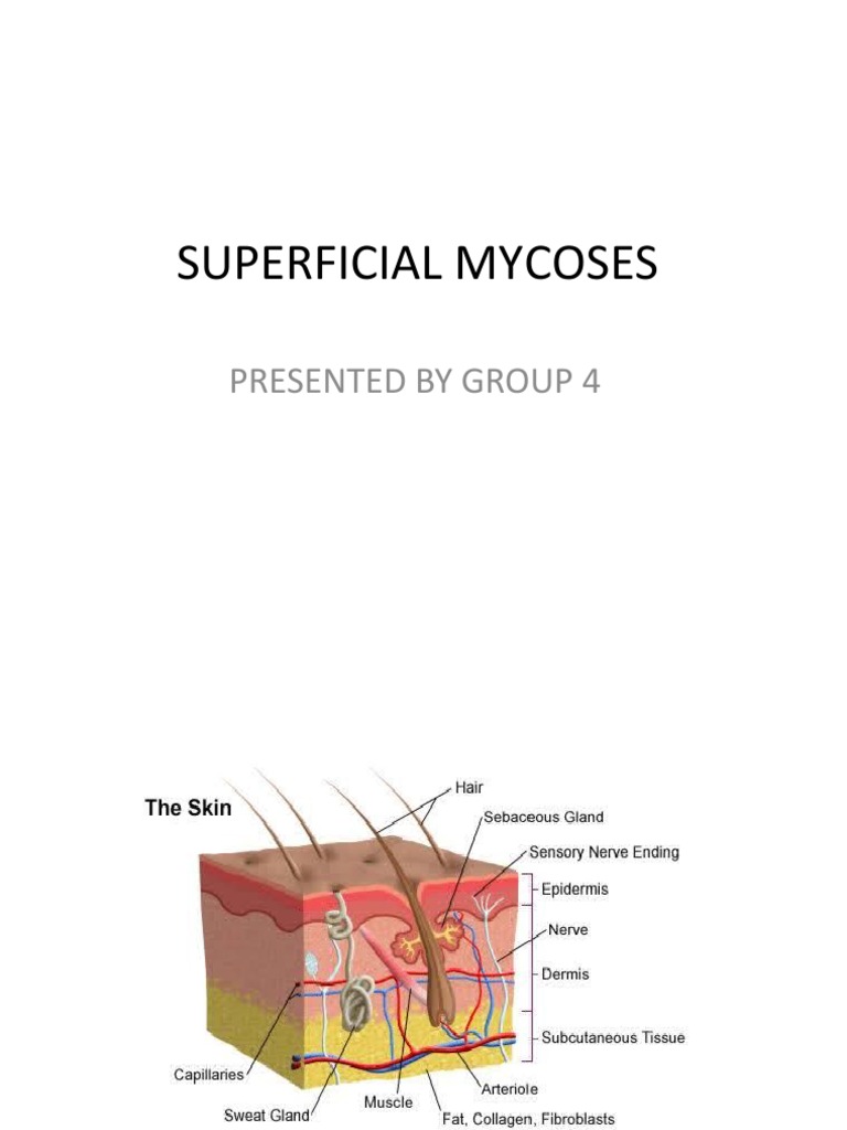 Superficial Mycoses Group 4 | PDF | Diseases And Disorders | Skin