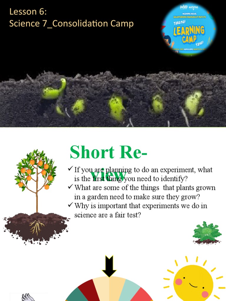 Lesson 6_Science 7 Consolidation | PDF