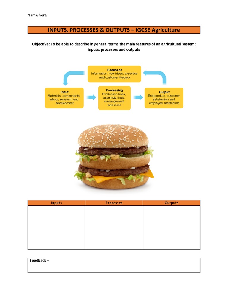 Inputs Processes Outputs Mcdonalds Lesson 1 | PDF