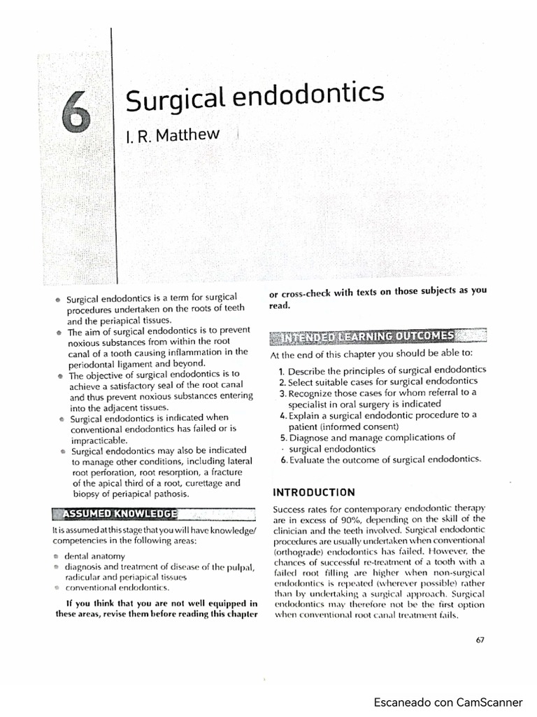 Surgical Endodontics - I. R. Matthew | PDF