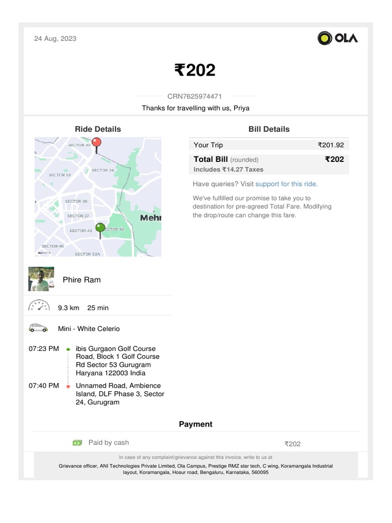 Travel Bill | PDF | Invoice | Payments