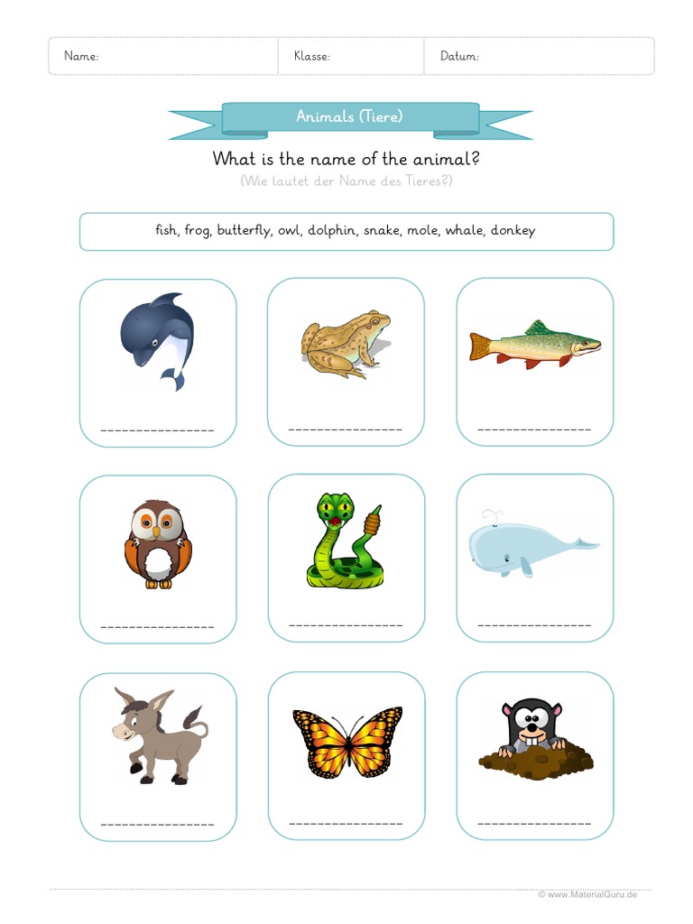 Arbeitsblatt Englisch Tiere Abbildungen | PDF