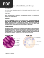 Onion and Human Cheek Cell | PDF | Cell (Biology) | Vacuole
