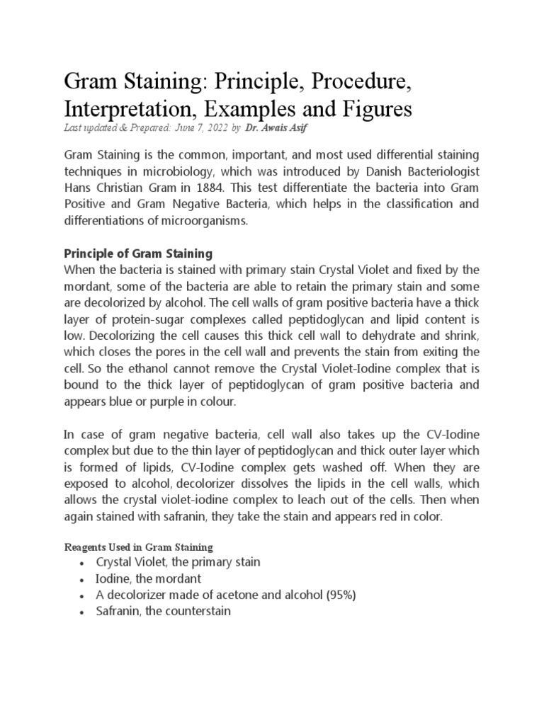 Bacterial Staining Techniques Pdf Staining Biology