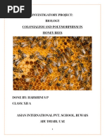Urban Bee Keeping | PDF | Beehive | Beekeeping