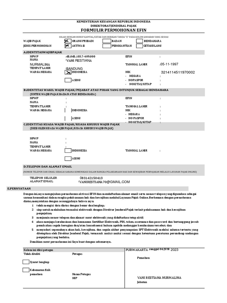 Form Permohonan EFIN | PDF
