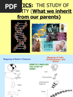 Beaks of Finches Lab Answer Key | PDF | Adaptation | Natural Selection