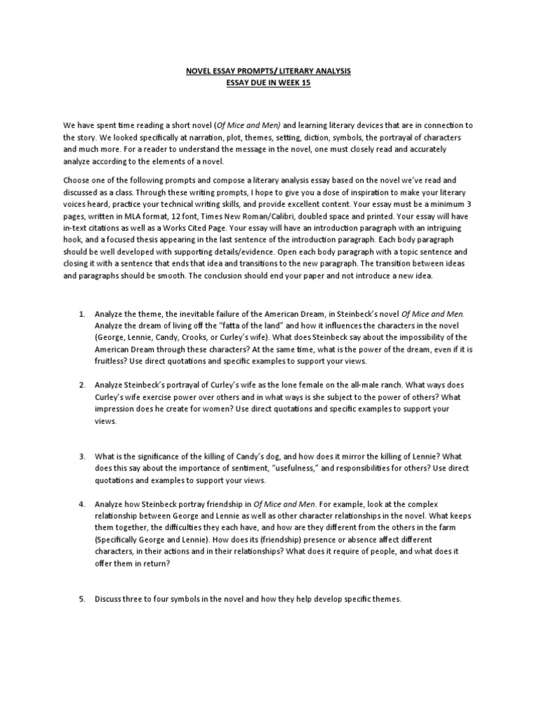 Novel Essay Prompts | PDF | Essays | Writing