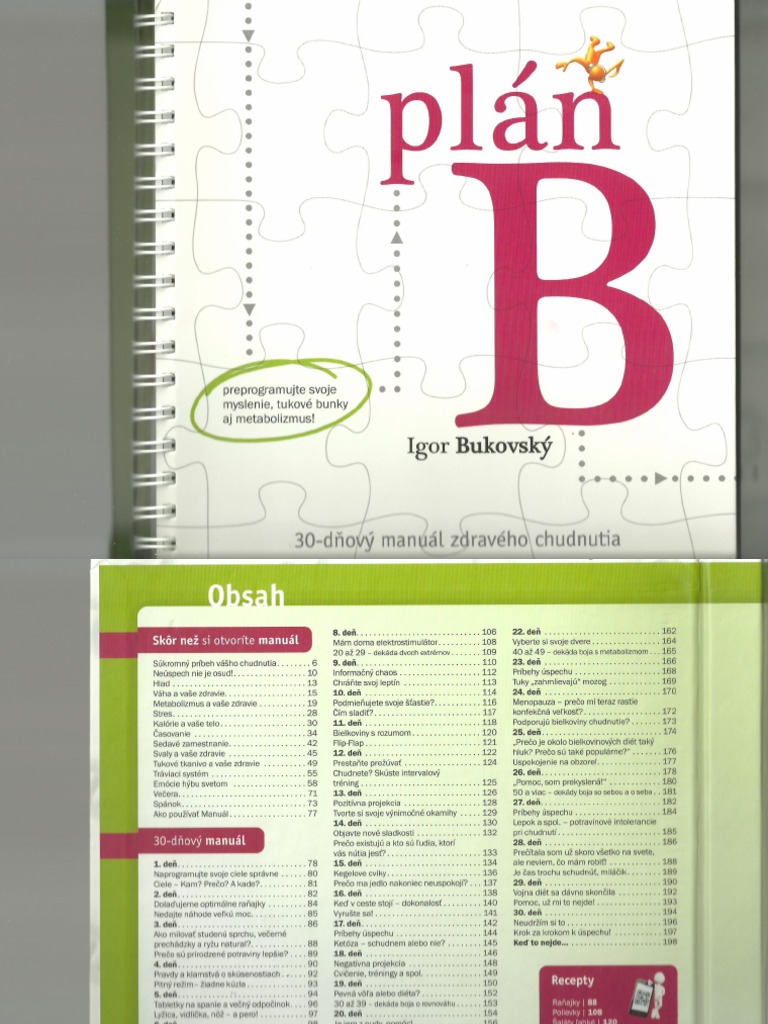 Igor Bukovsky - Plan B | PDF