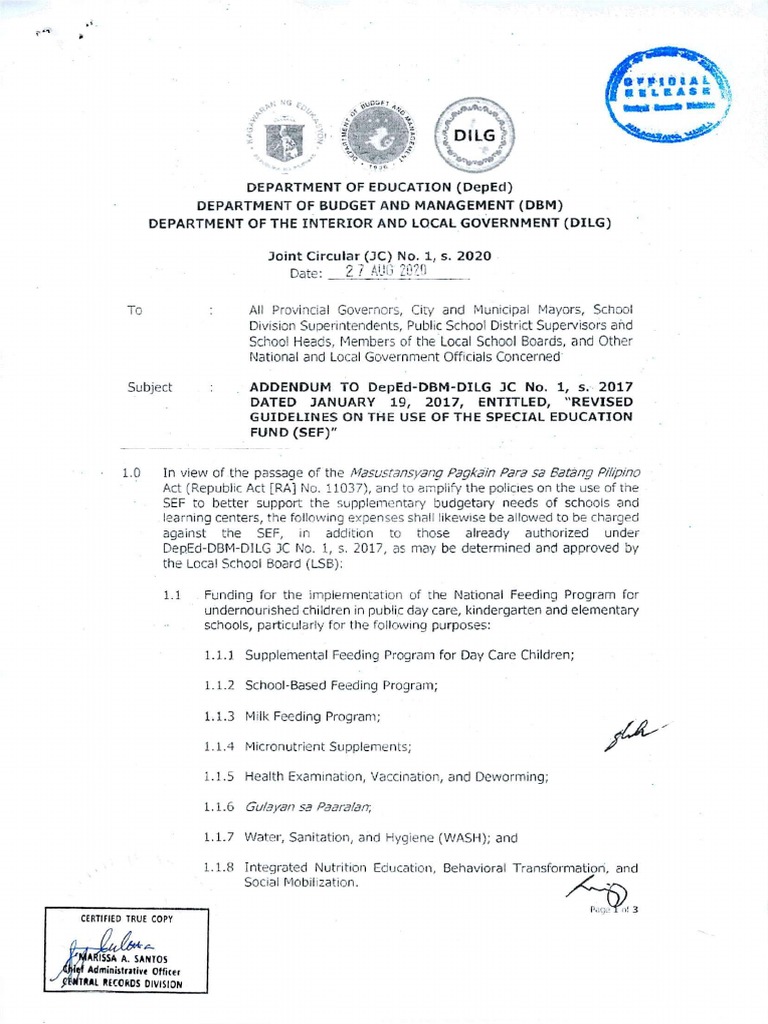SEF Utilization Guidelines Update 2020 | PDF | Government
