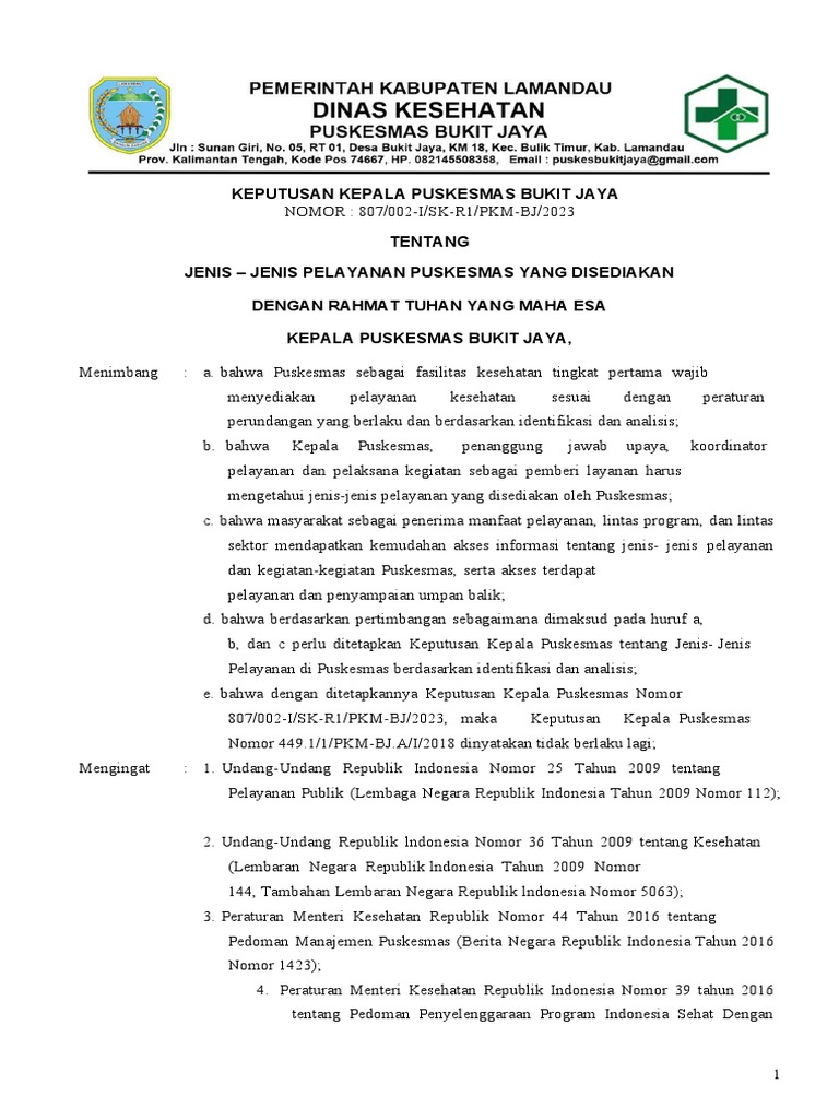 SK Kapus Tentang Jenis-Jenis Pelayanan Yang Disediakan Puskesmas | PDF
