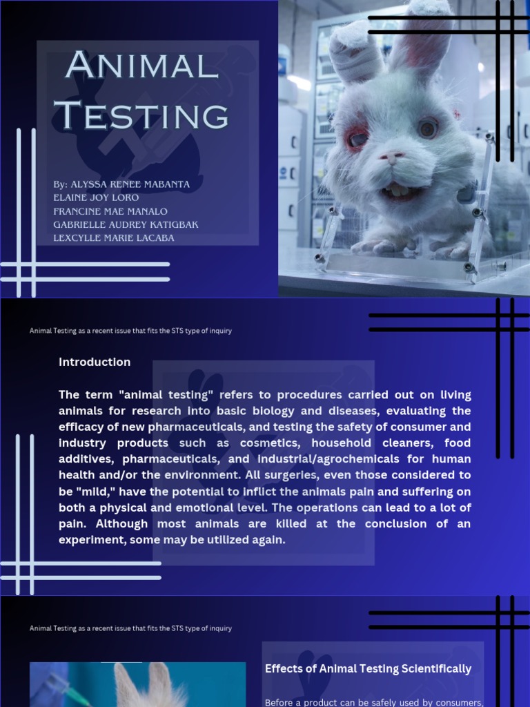 Animal Testing Presentation | PDF
