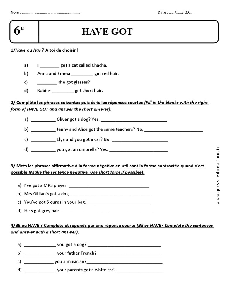 Have Got - 6ème - Exercices Corrigés | PDF