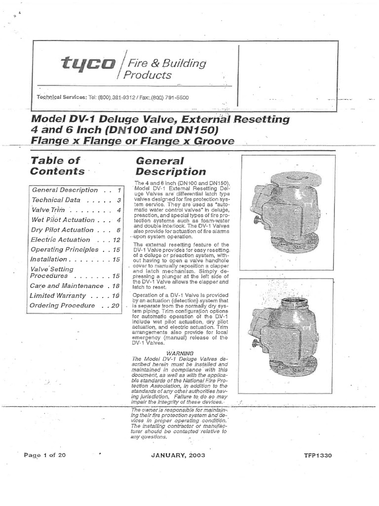 DV 5 | PDF
