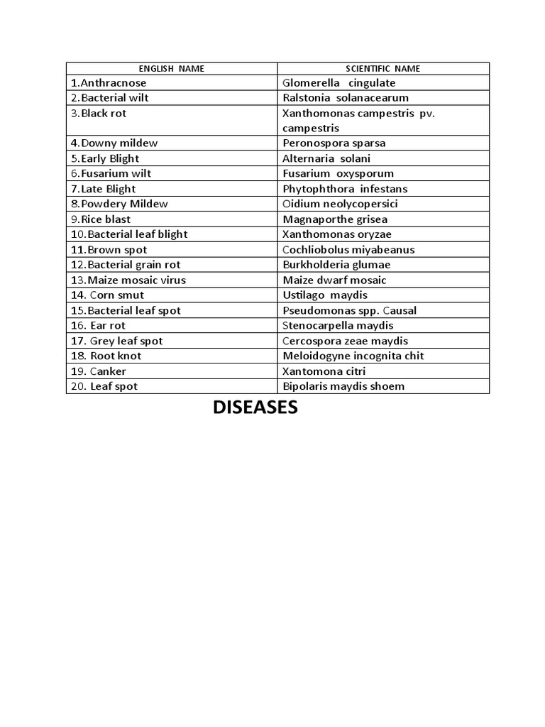 Diseases and Insects: Names & Science | PDF | Cabbage | Organisms
