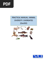 04 Lateral Line System in Fishes | PDF | Neuroscience | Anatomy