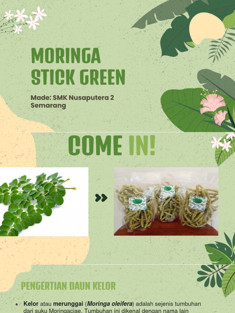Manfaat dan Pembuatan Stik Kelor | PDF