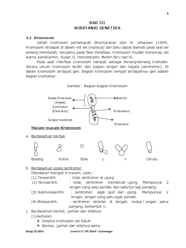 Substansi Genetik | PDF