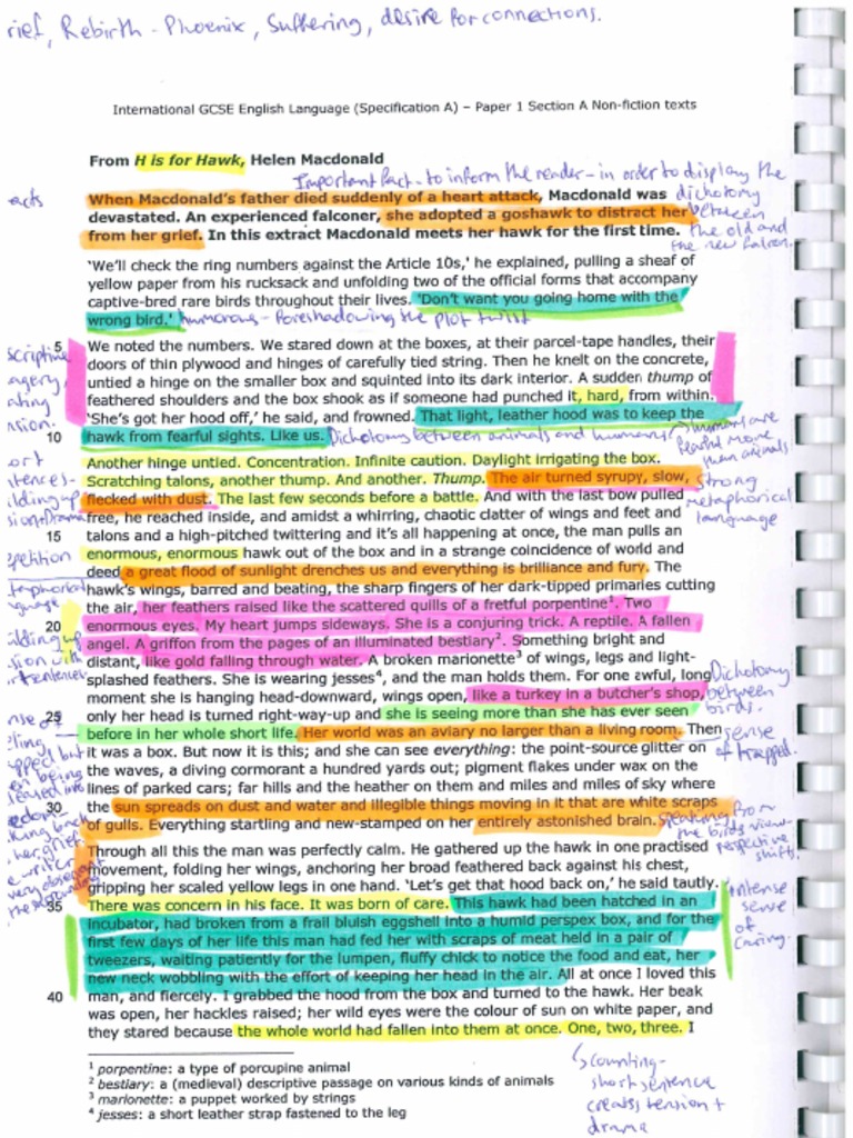 H Is For Hawk - Annotated Extract | PDF